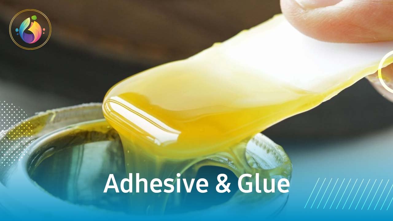 Adhesive & Glue | Mohammed Rashid Mohammed